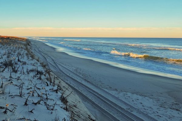 LBI Handicap Beach Access Guide: Ramps, Shuttle & Wheelchair Info